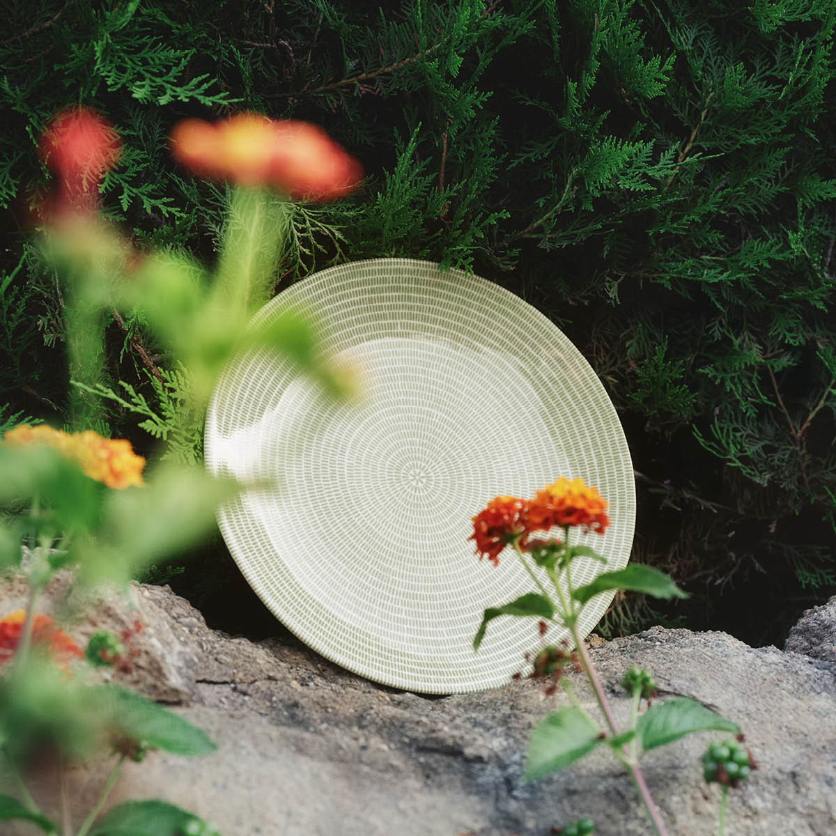 Arabia 24h tallerken 26 cm Avec grønn - Cervera